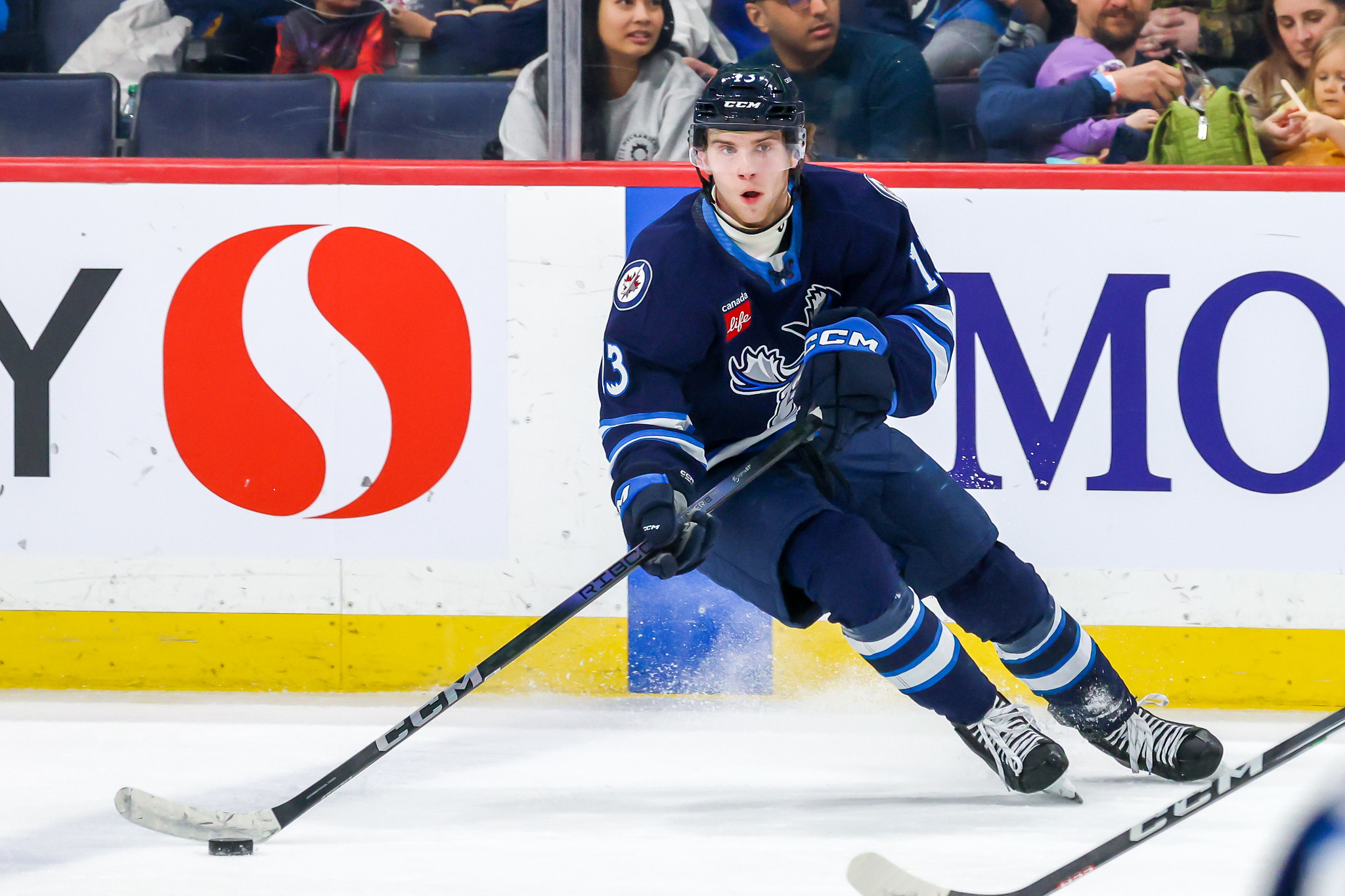 Winnipeg Jets' Success Could Be Impacted by Manitoba Moose Talent ...