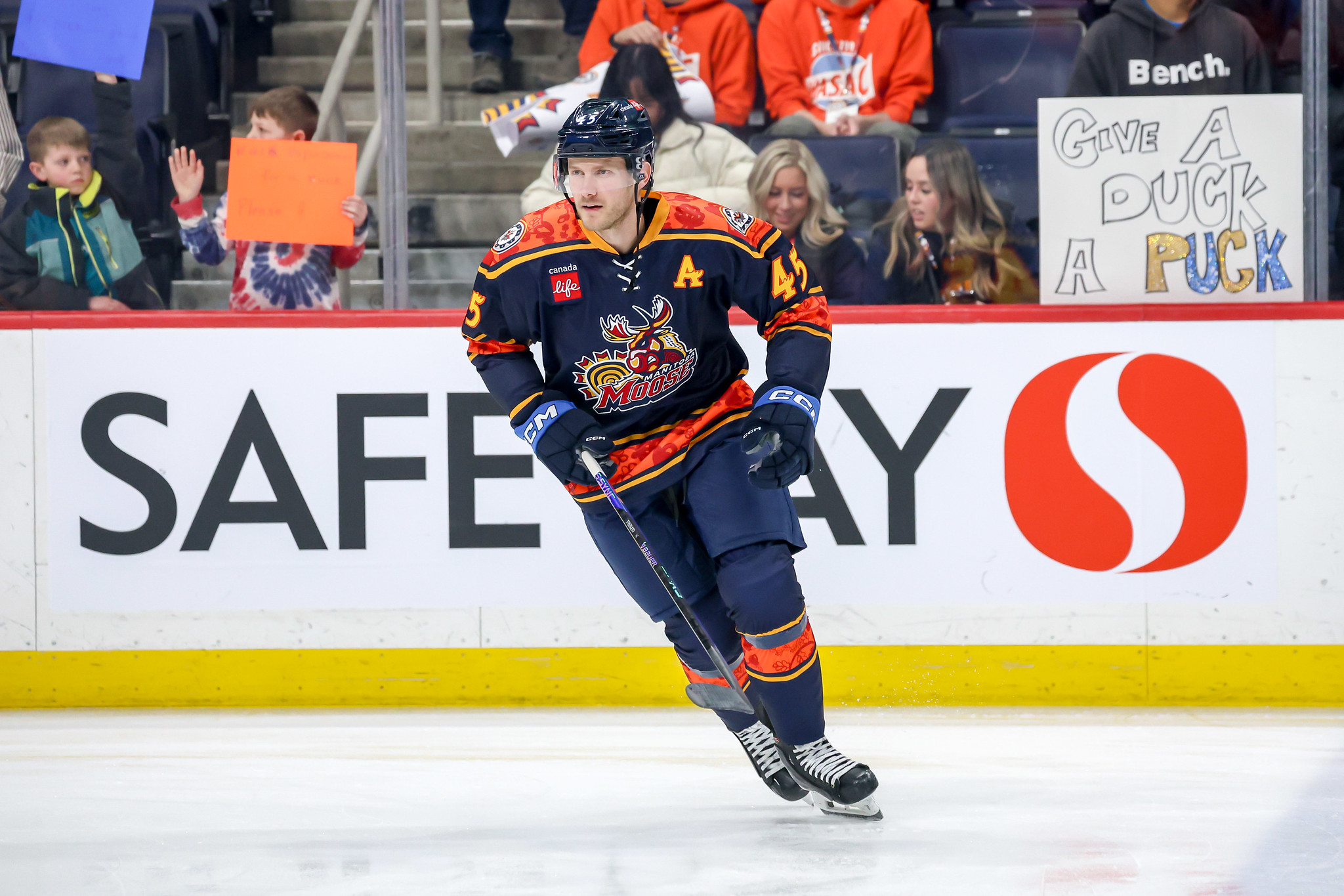 3 Candidates For Manitoba Moose's Next Captain - The Hockey Writers ...