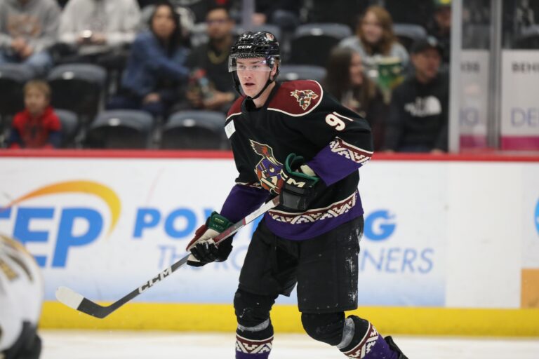 Looking at Utah HC's Minor League Affiliations - The Hockey Writers ...