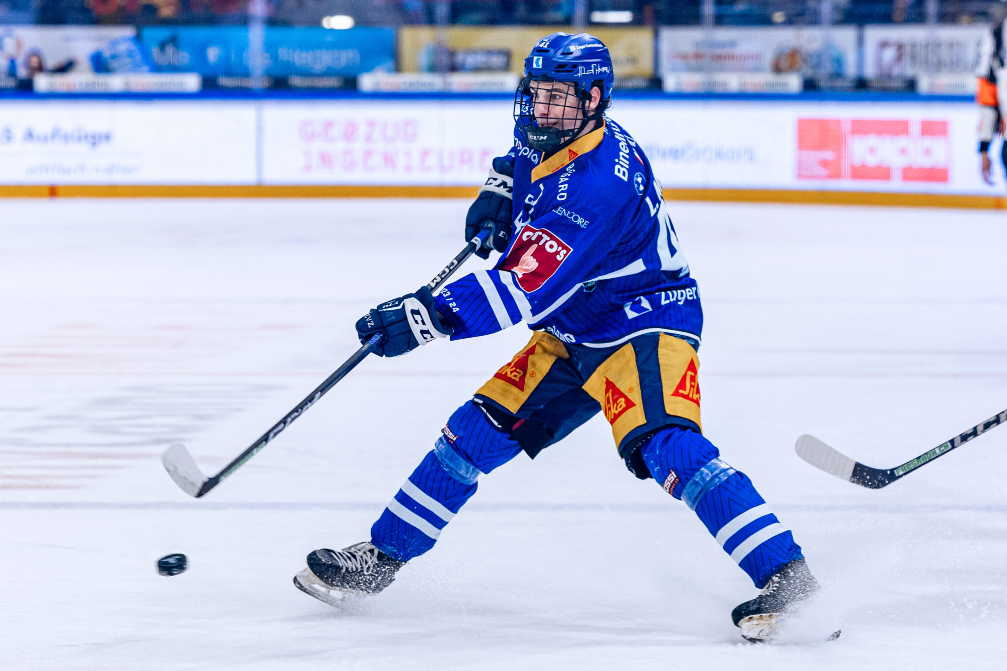 Leon Muggli - 2024 NHL Draft Prospect Profile - The Hockey Writers ...