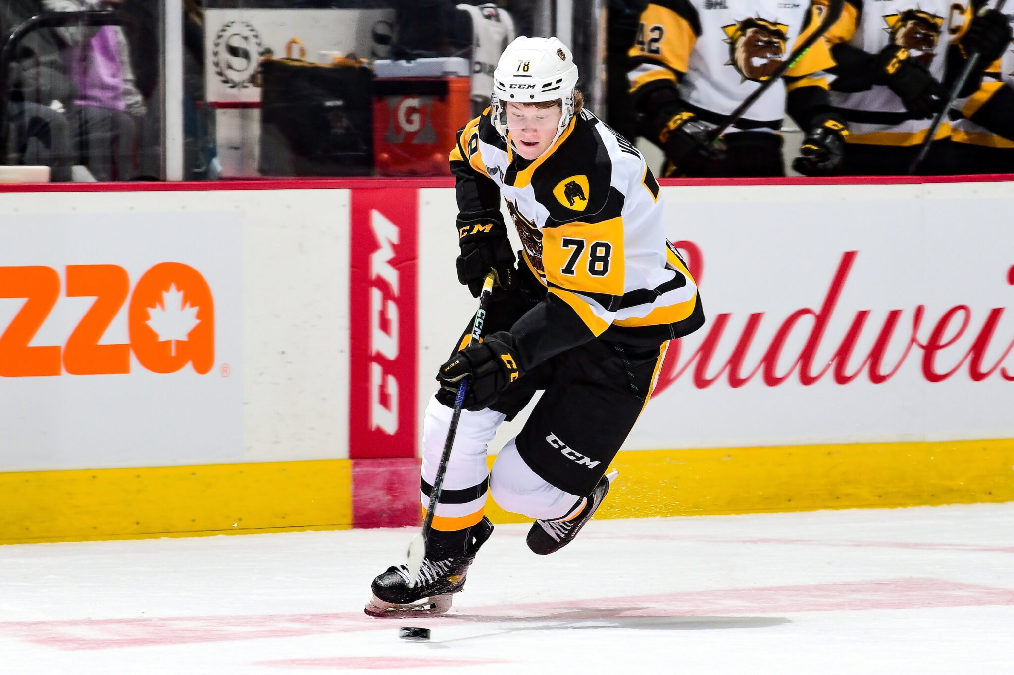 Marek Vanacker - 2024 NHL Draft Prospect Profile - The Hockey Writers ...