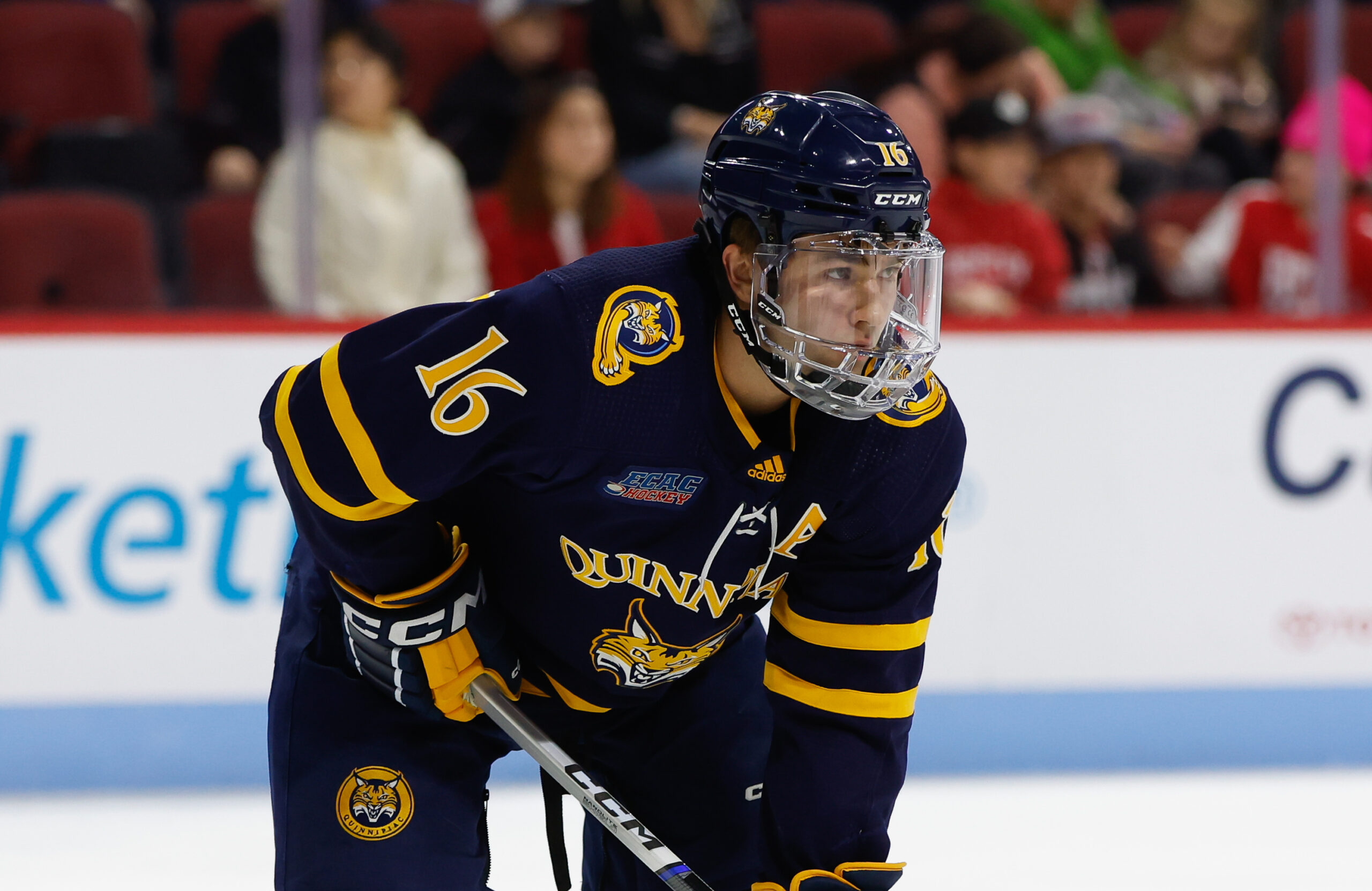 Maple Leafs Sign Jacob Quillan to 2-Year Entry-Level Contract - The ...