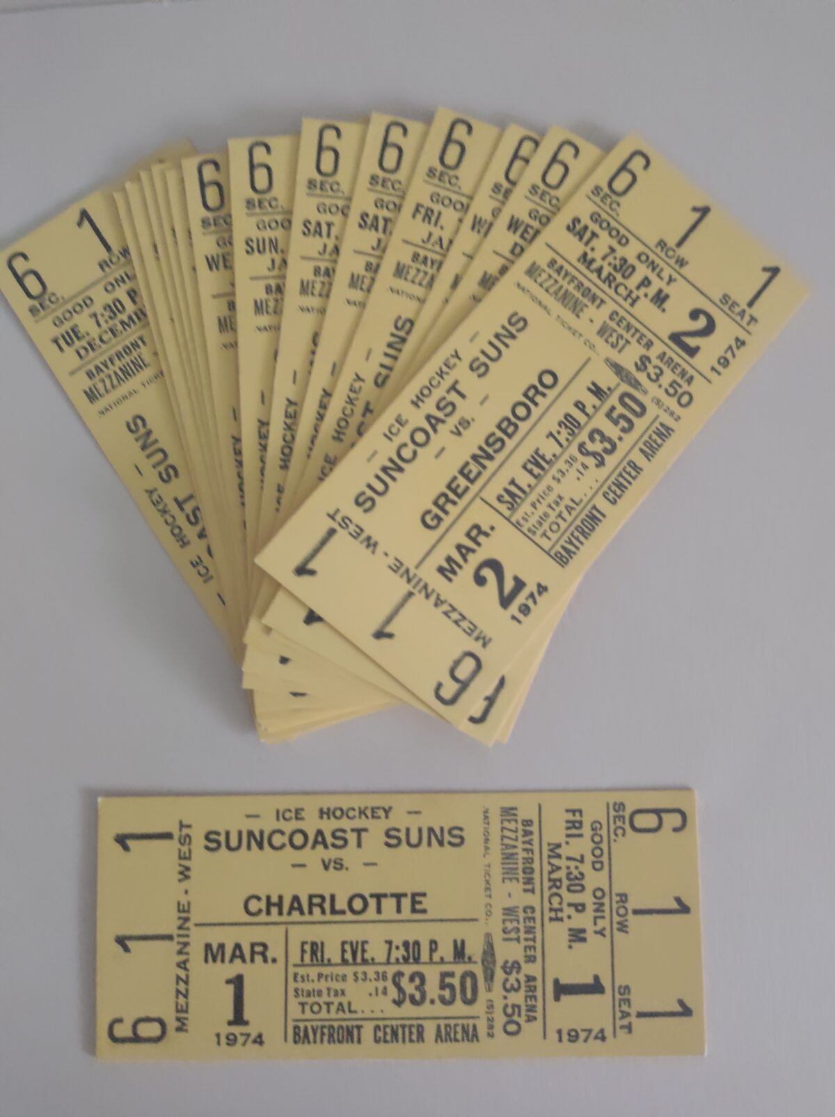 Tampa Bay's First Hockey Team: Suncoast Suns - The Hockey Writers ...