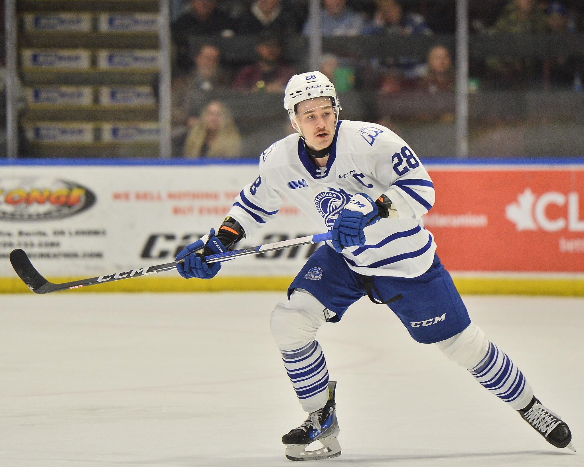 Toronto Marlies' Chas Sharpe Living Out His Dream - The Hockey Writers - - NHL News, Analysis & More