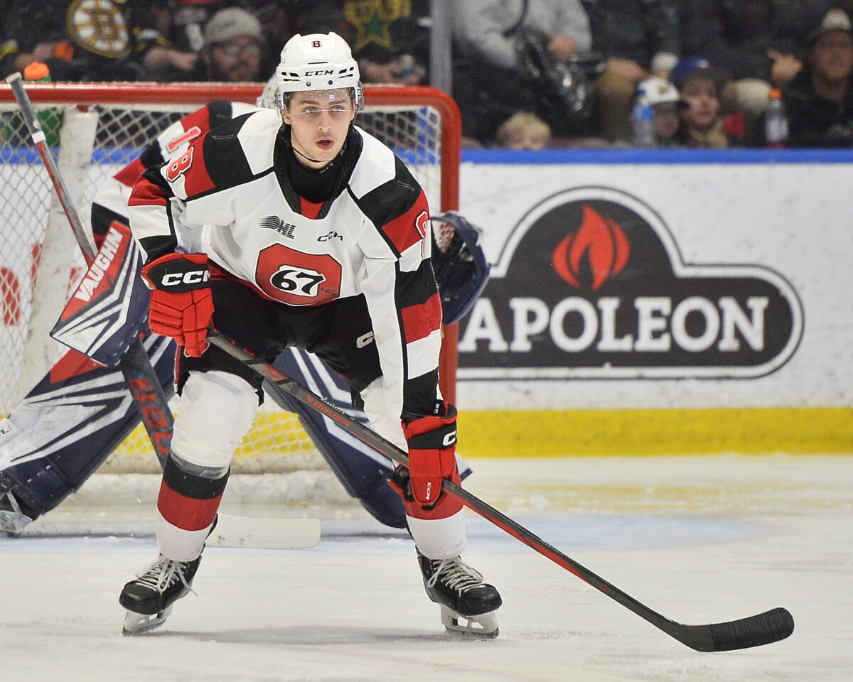 Frankie Marrelli – 2024 NHL Draft Prospect Profile - The Hockey Writers ...