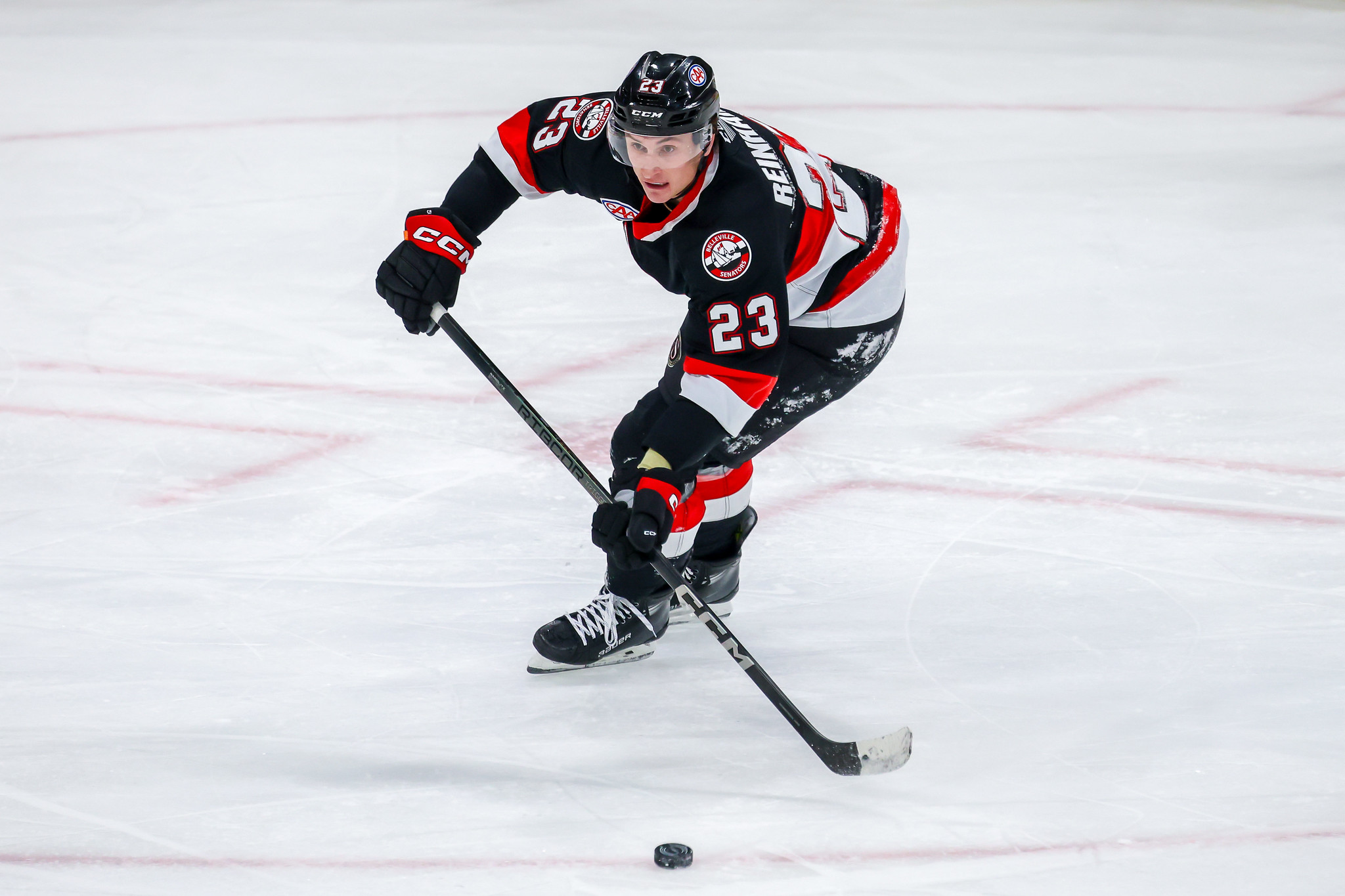 Ottawa Senators Prospect of the Week: Cole Reinhardt - The Hockey ...
