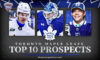 Maple Leafs’ Top 10 Prospects for 2024-25 Season - The Hockey Writers ...