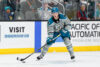 Barracuda's Early Success Points to Sharks' Bright Future - The Hockey ...