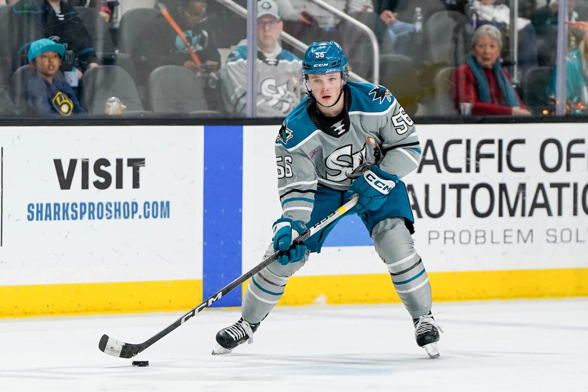 Barracuda's Early Success Points to Sharks' Bright Future - The Hockey ...