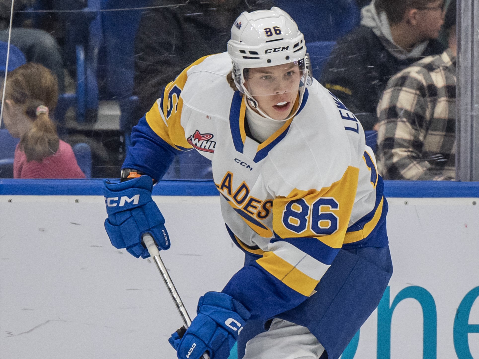 Saskatoon Blades Rookie David Lewandowski Is Quickly Becoming a Star ...