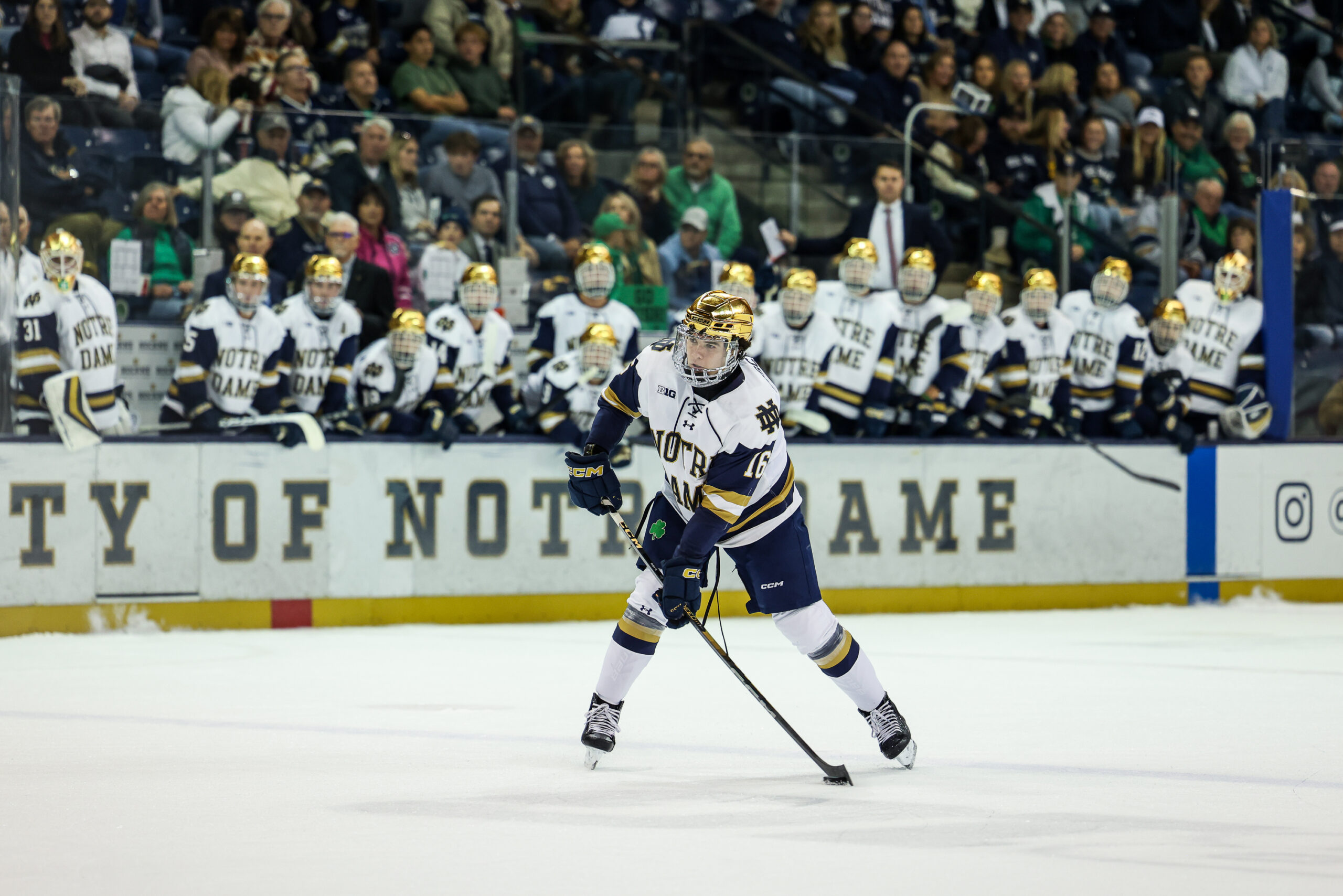 Oilers' NCAA Prospects: Tracking Their Early-Season Performance - The ...