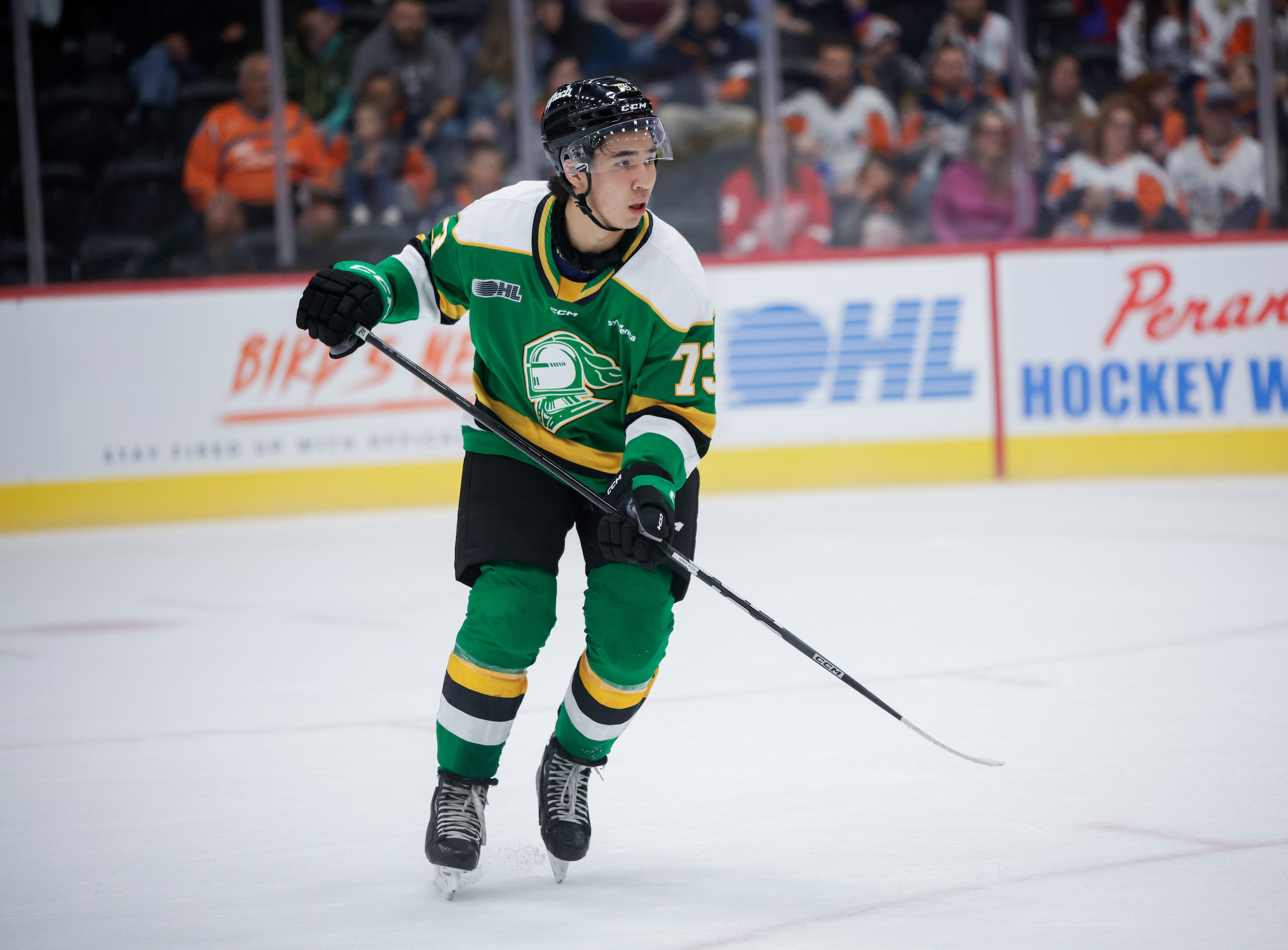 Who Is Edmonton Oilers Prospect William Nicholl? - The Hockey Writers ...