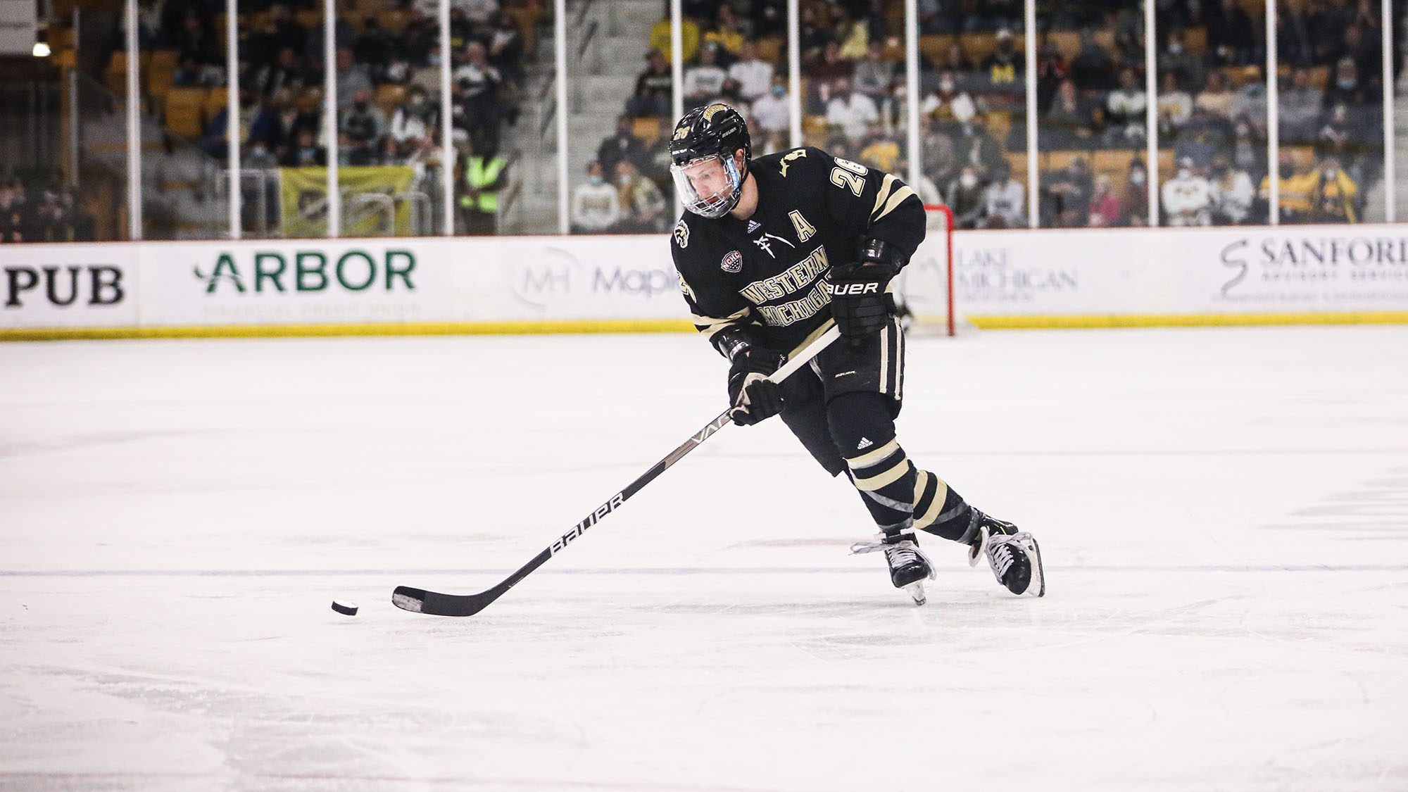 Washington Capitals' Ethen Frank's Road to the NHL - The Hockey Writers ...