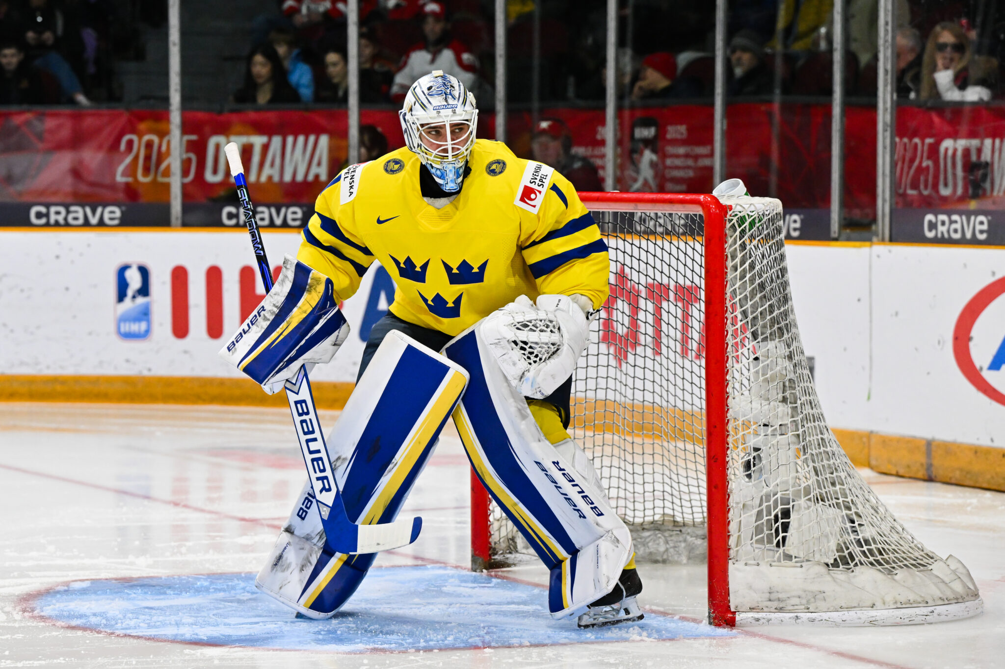 Every NHL Team's Most Underrated Prospect - The Hockey Writers ...