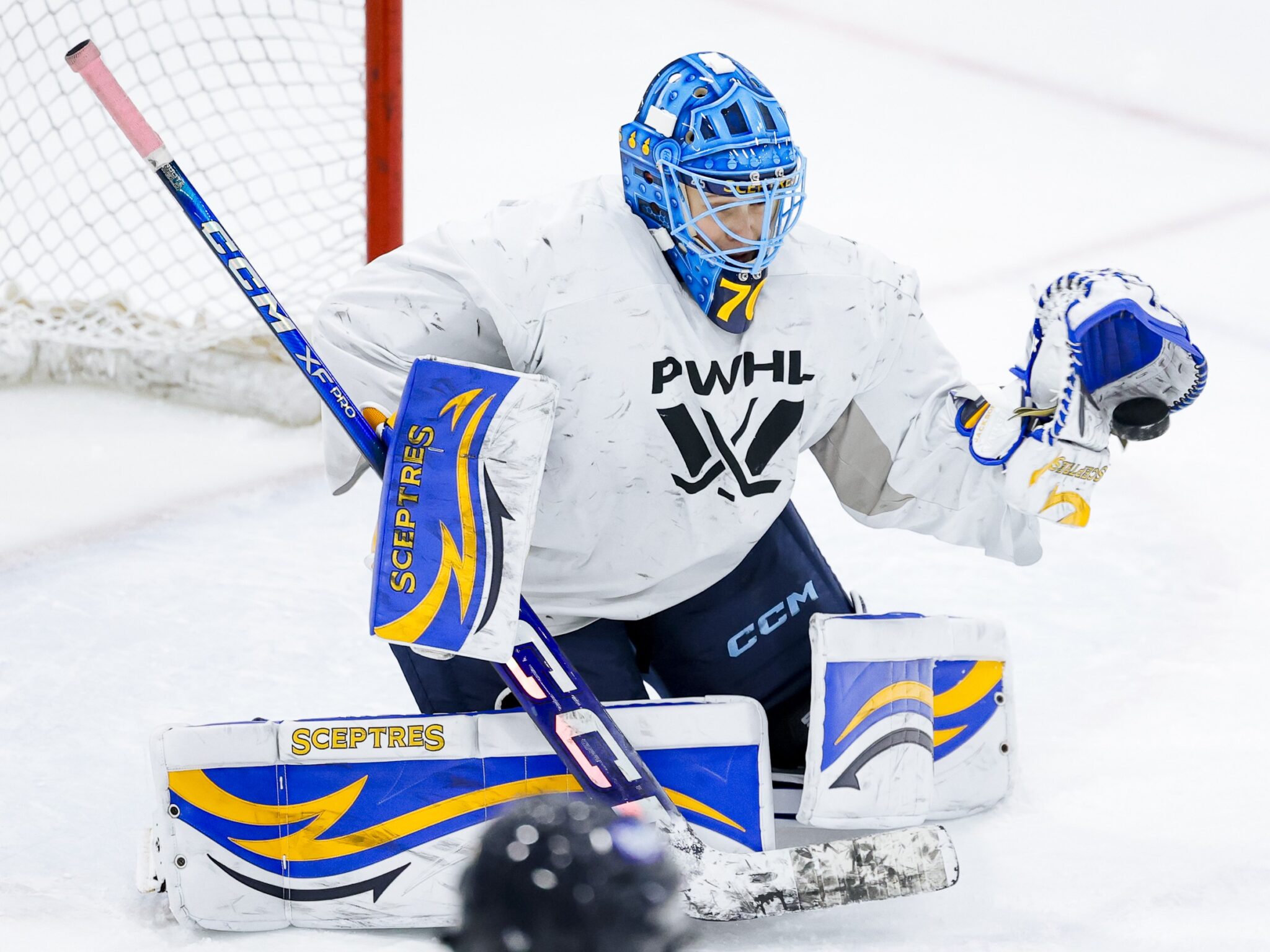 Sceptres Defeat Sirens 2-1 in a Shootout - The Hockey Writers - PWHL ...