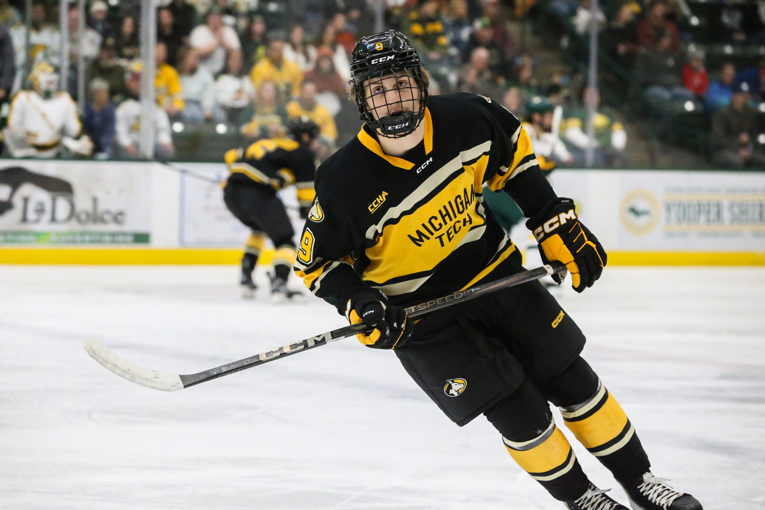 "I Wanna Be a Winner": Arizona-Born Logan Morrell Comes Full Circle ...