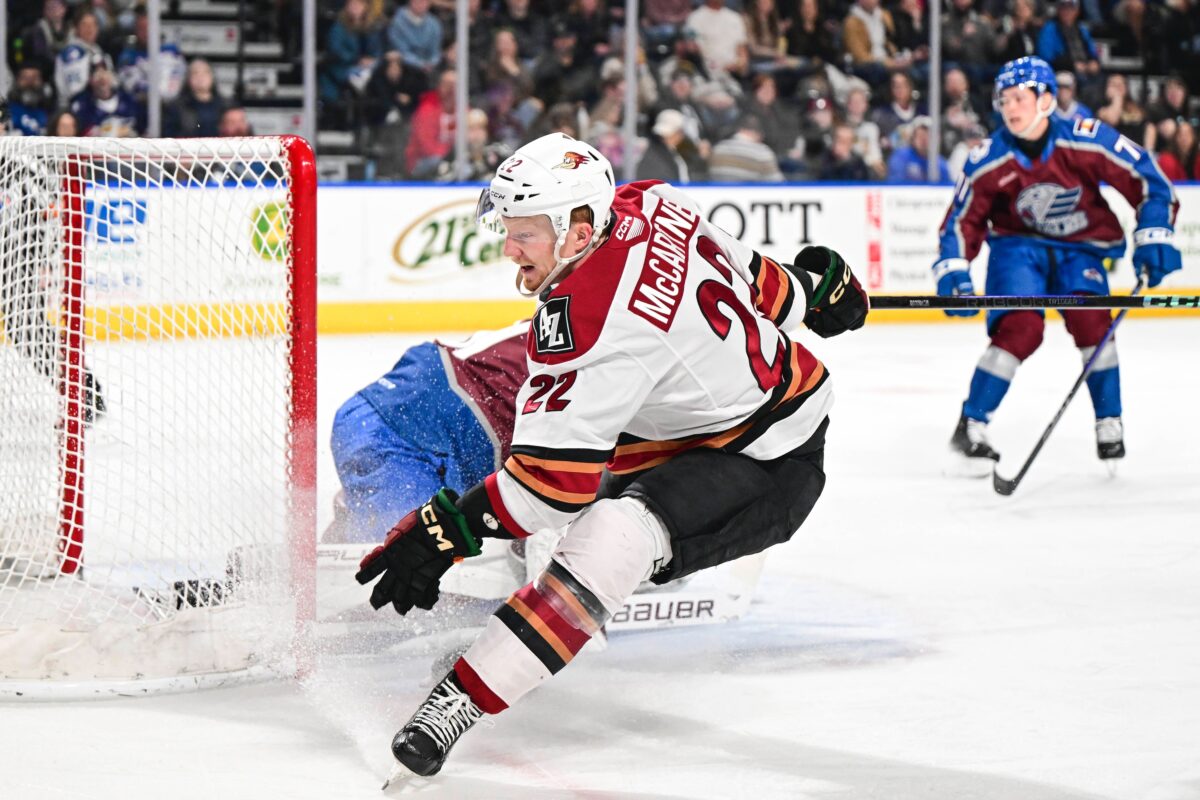 Utah Mammoth's 2024-25 Report Cards: Ben McCartney - The Hockey Writers ...