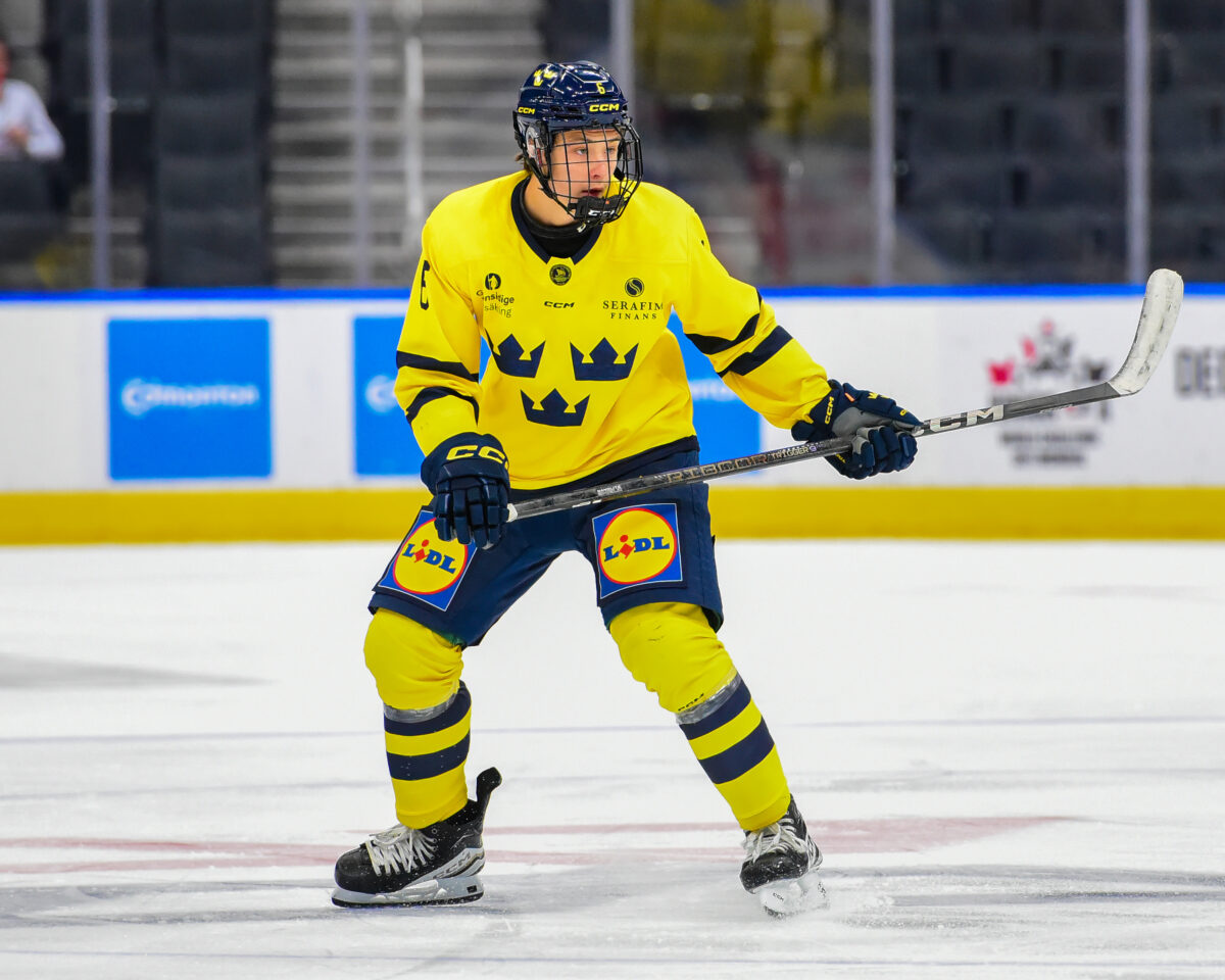 Malte Vass – 2025 NHL Draft Prospect Profile - The Hockey Writers - NHL ...
