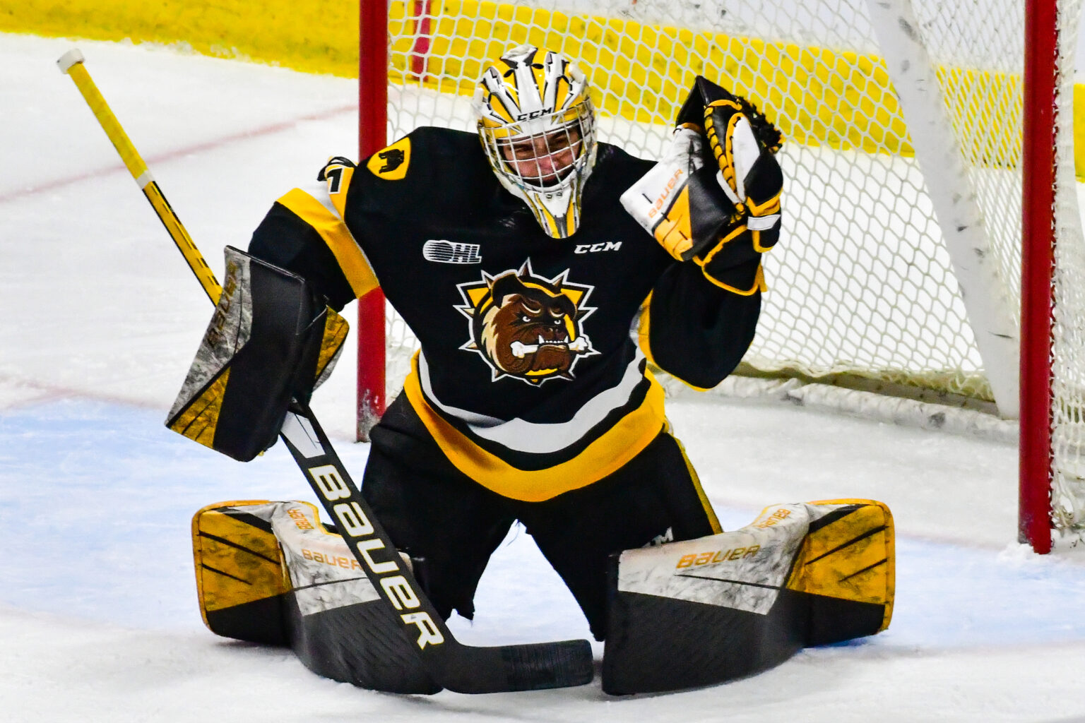 RedHawks Bring in U Sports Goaltender Matteo Drobac - The Hockey ...