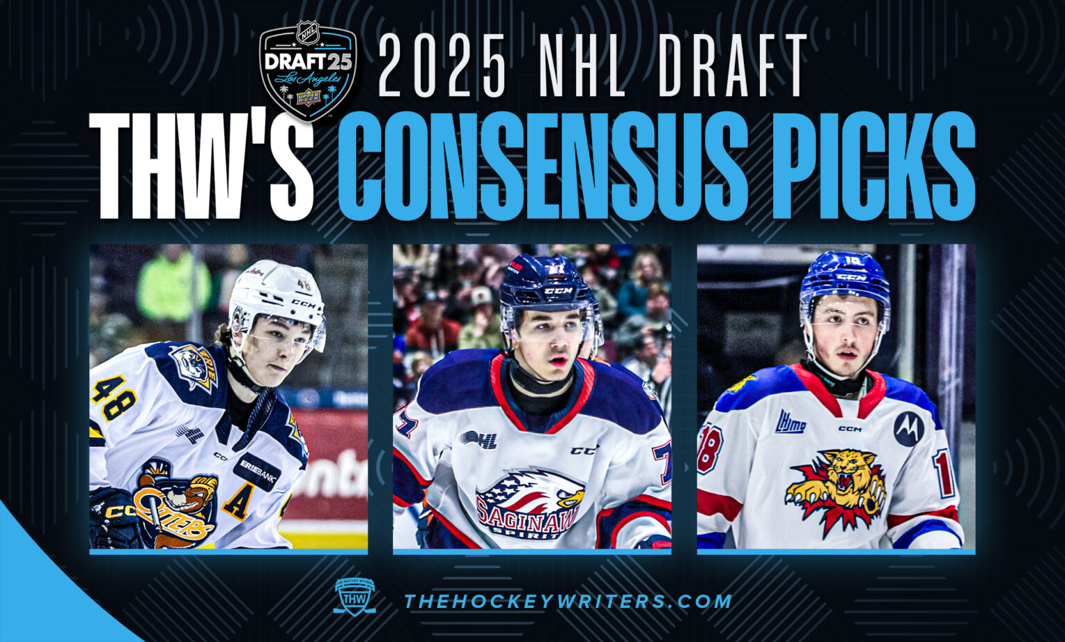 2025 NHL Draft Rankings – Final Consensus Picks - The Hockey Writers ...