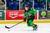 2026 NHL Draft: Baracchini’s Top 32 Preseason Rankings - The Hockey ...