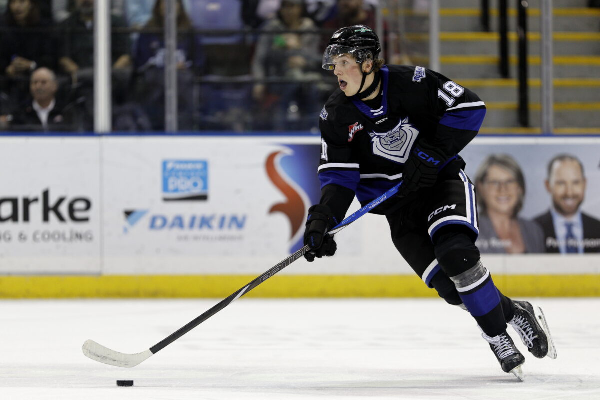 2026 Draft-Eligible Players to Watch at Hlinka Gretzky Cup - The Hockey ...