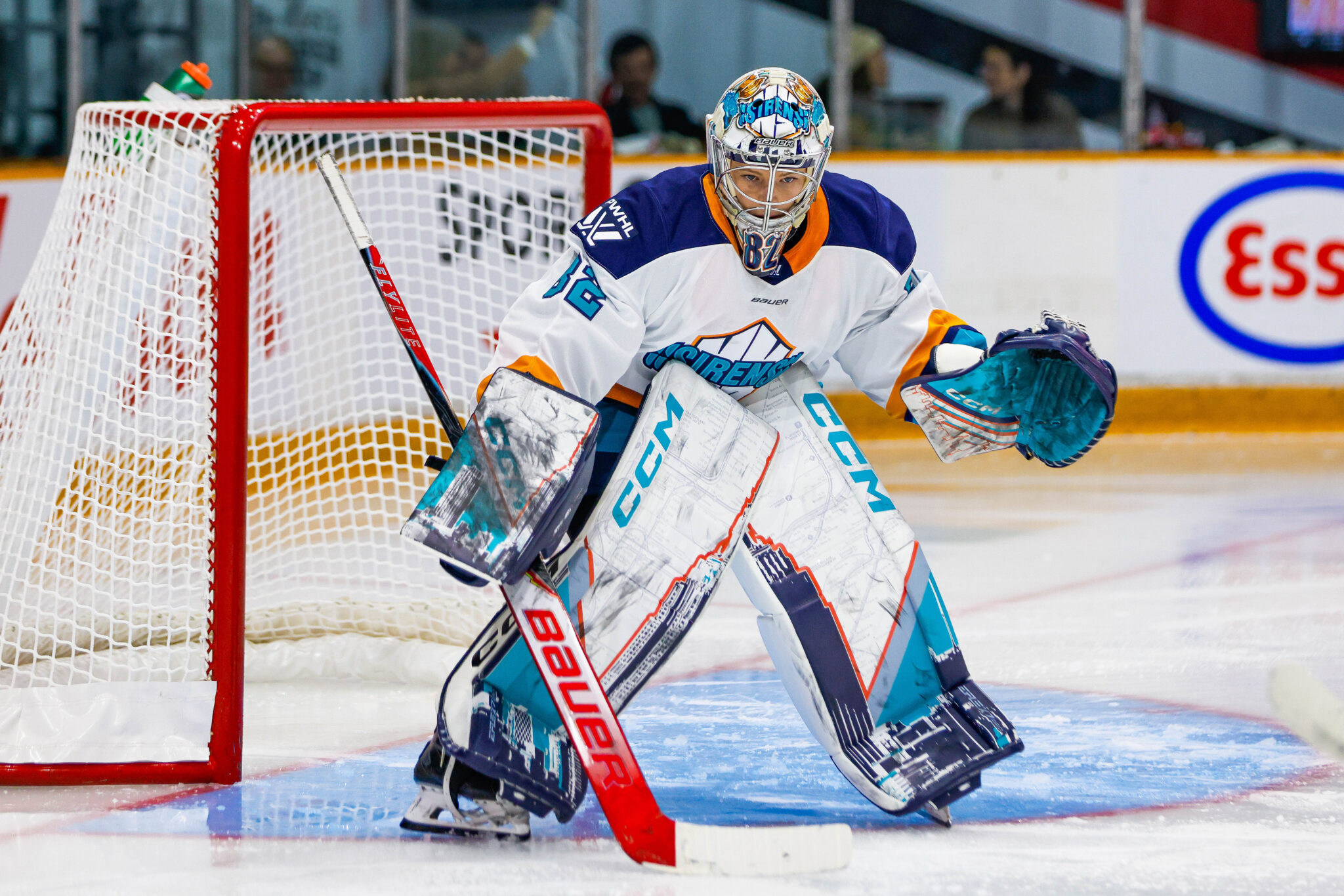 New York Sirens' 3 Stars of November - The Hockey Writers - PWHL - NHL ...