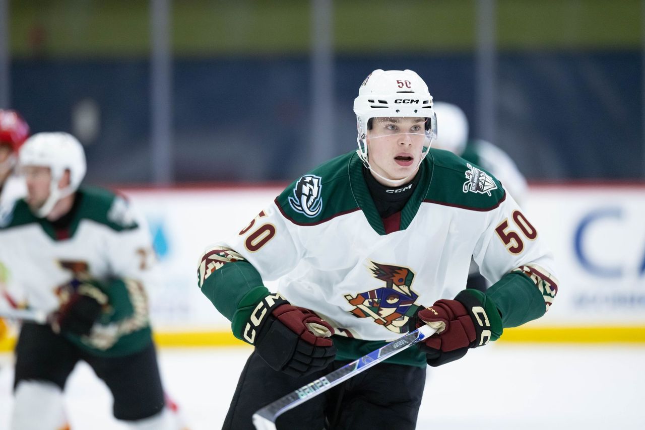 Utah Mammoth Prospect Update: First-Round Picks Shining in the AHL ...